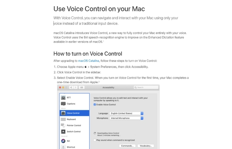 Best Dictation Software In 2023